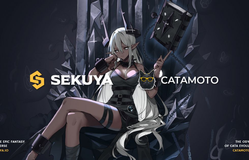 Sekuya x Catamoto — New Meme Family Unlocked | Sekuya