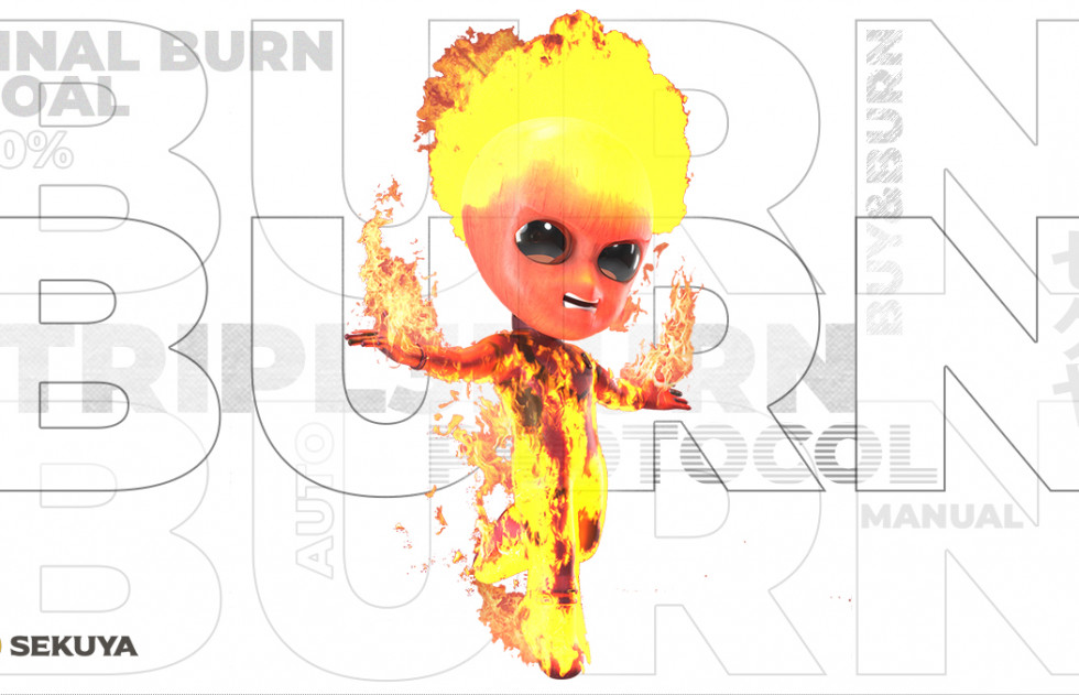 Unleashing the Power of Burn: Introducing Sekuya's Triple Burn Protocol ...